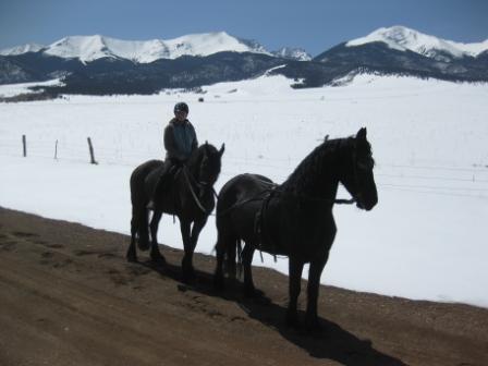Sable Ranch Friesian Horses: June 2013