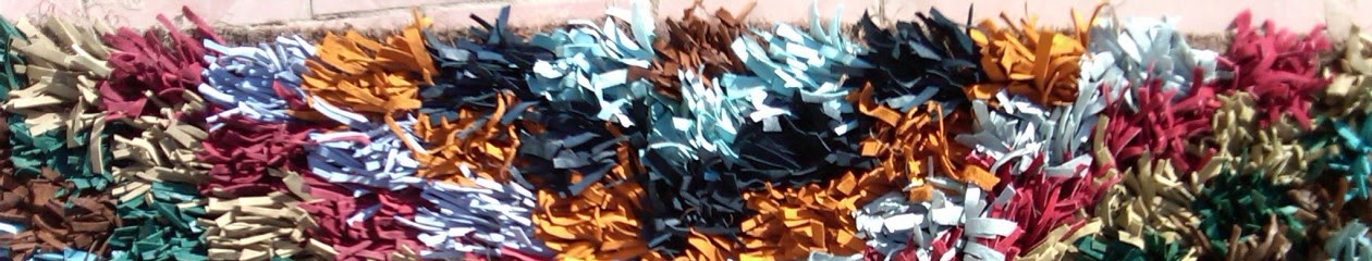 THE VIEW FROM FEZ: March 2014