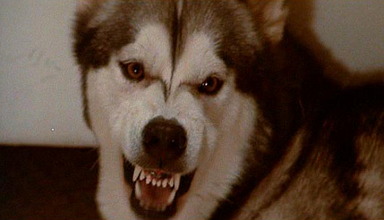 Quick Horror Movie Reviews: THE LOST BOYS