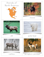 The Helpful Garden: Animals of North America Cards