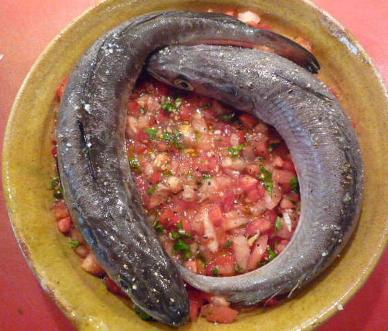 Bolli's Kitchen: Merluchon aux tomates - Kleiner Seehecht mit Tomaten