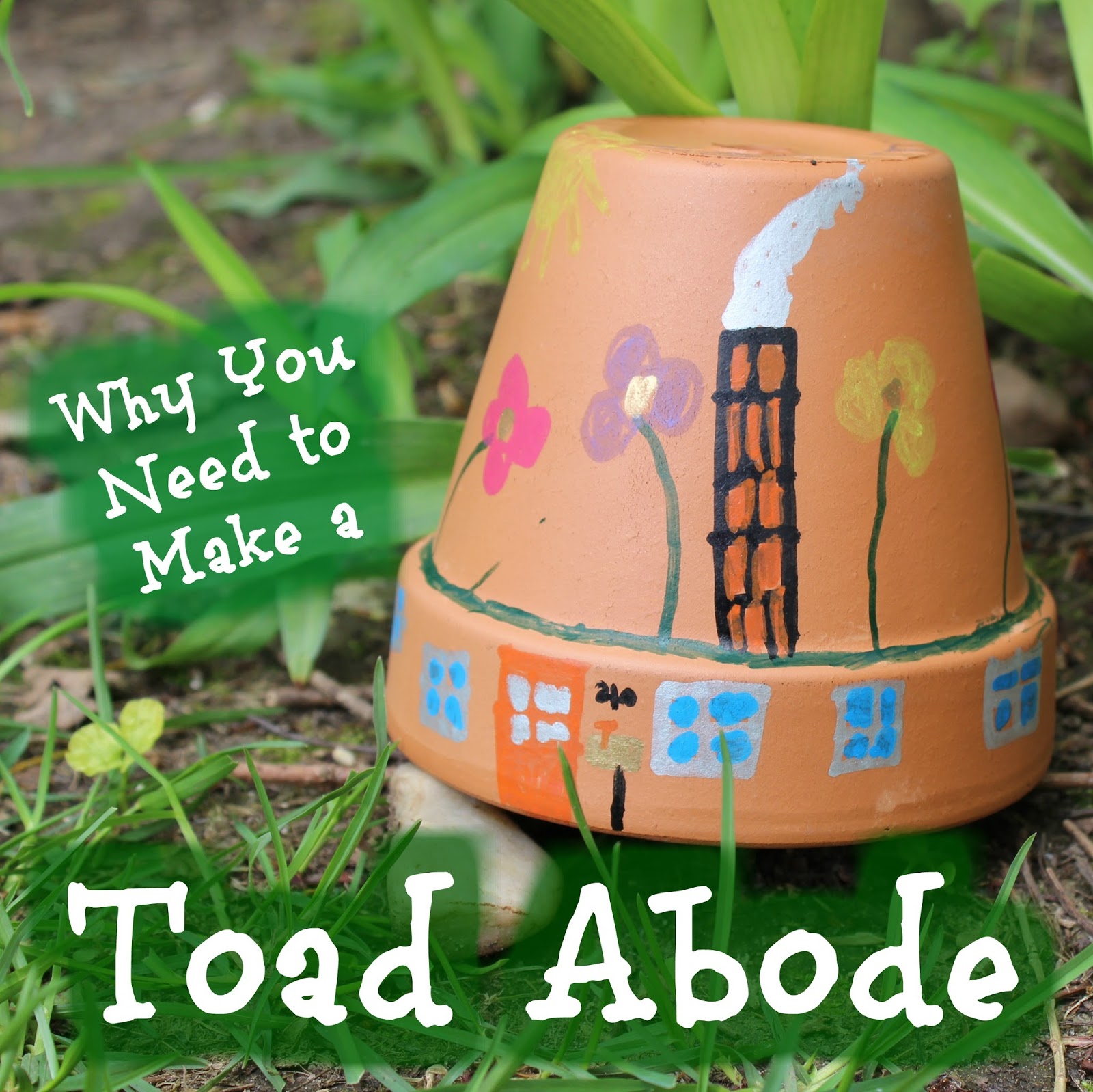 Why You Need to Make a Toad Abode - The (mis)Adventures of a ...