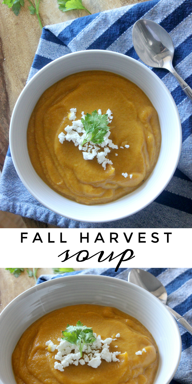 Fall Harvest Root Vegetable Soup | To & Fro