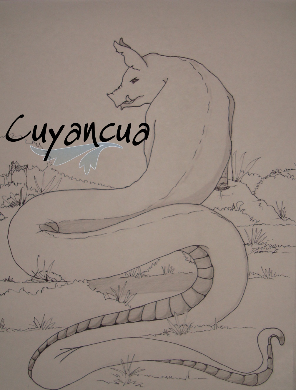 Leyendas Salvadoreñas: LEYENDAS