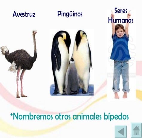 Mundo de Animales : TIPOS DE ANIMALES.