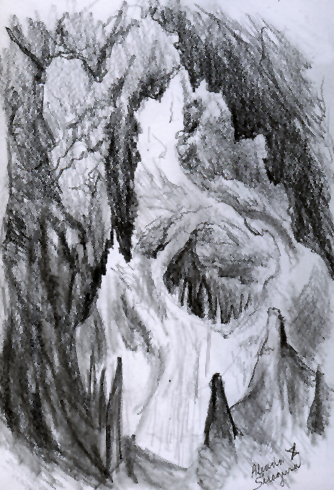 Aleada Aine Siragusa: Carlsbad Cavern - Protect It