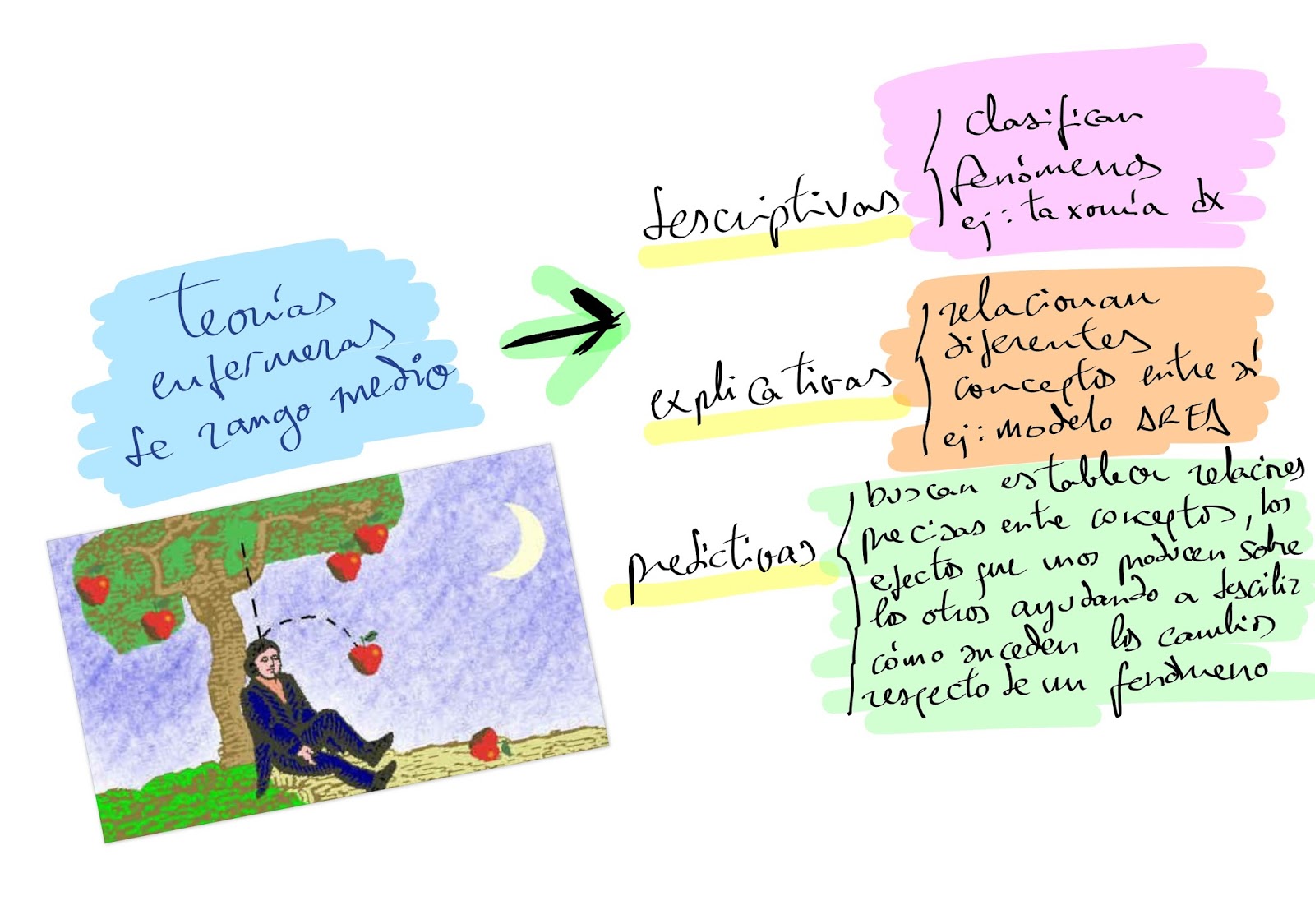 El diagnóstico enfermero: Una Teoría de Rango Medio para los ...