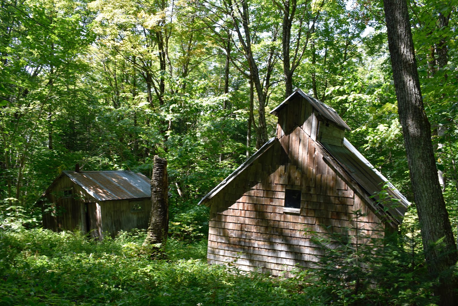 Long Lasting Maple Shack