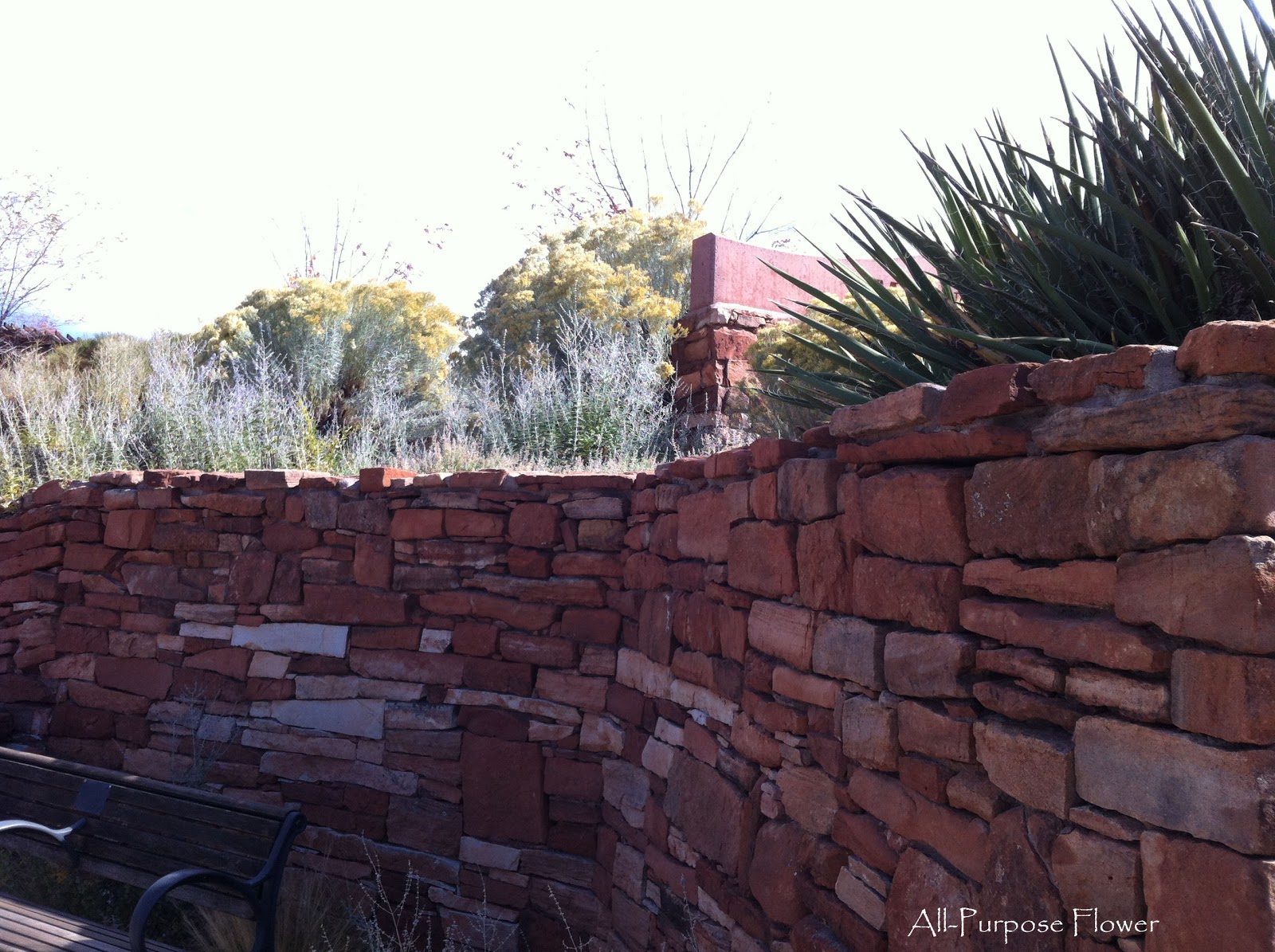 All-Purpose Flower: Native Materials Used in the Landscape