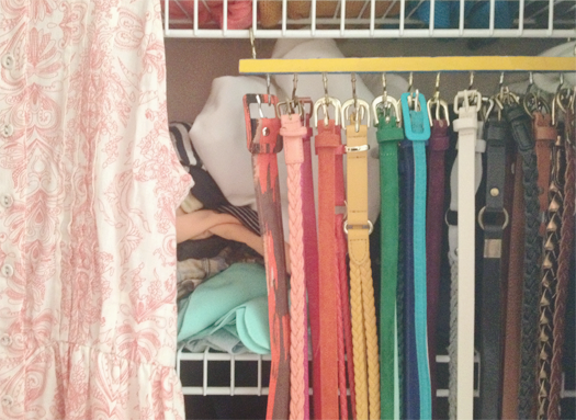 Scathingly Brilliant: DIY: belt hanger