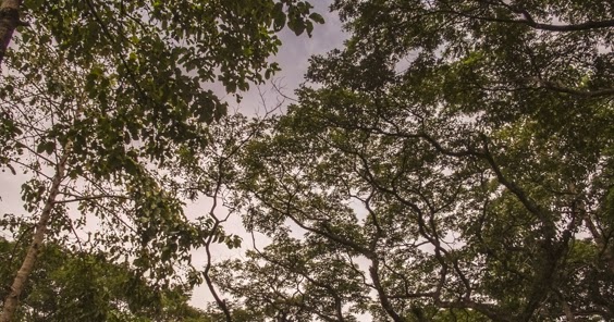 Butuan Daily Photo: Balanghai Boat Replica at Bading