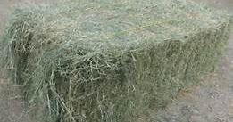 White House Farms: 2017 Premium Ky Horse Hay Delivered!