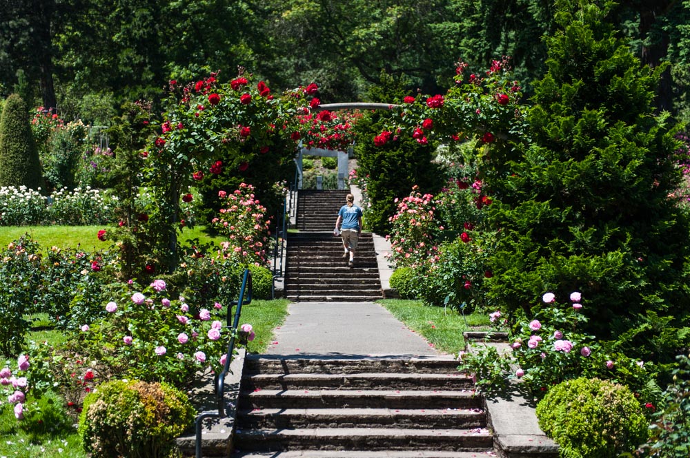 'Round About Seattle: Portland Rose Garden and Beyond
