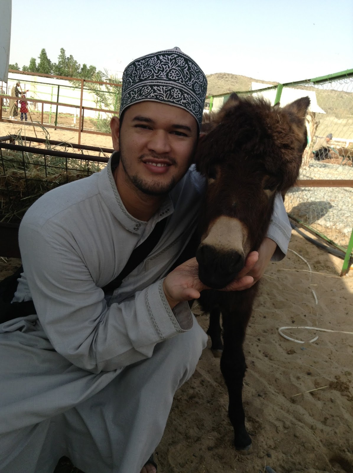 Inspirasi Penting 25 Gambar Keldai