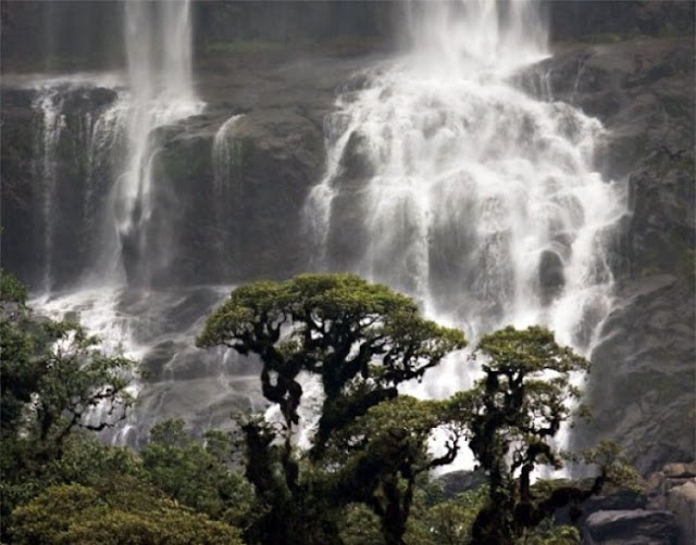 SOMOS EL CORAZÓN DE AMÉRICA DEL SUR.: PARQUES NACIONALES DE BOLIVIA ...