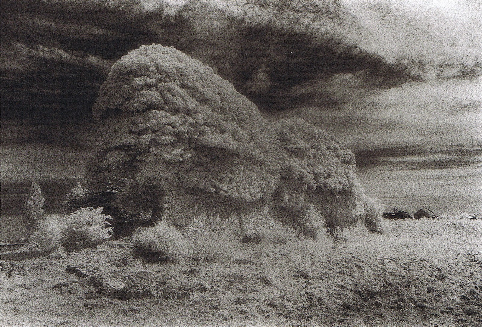 Sous un ciel brouillé: Simon Marsden