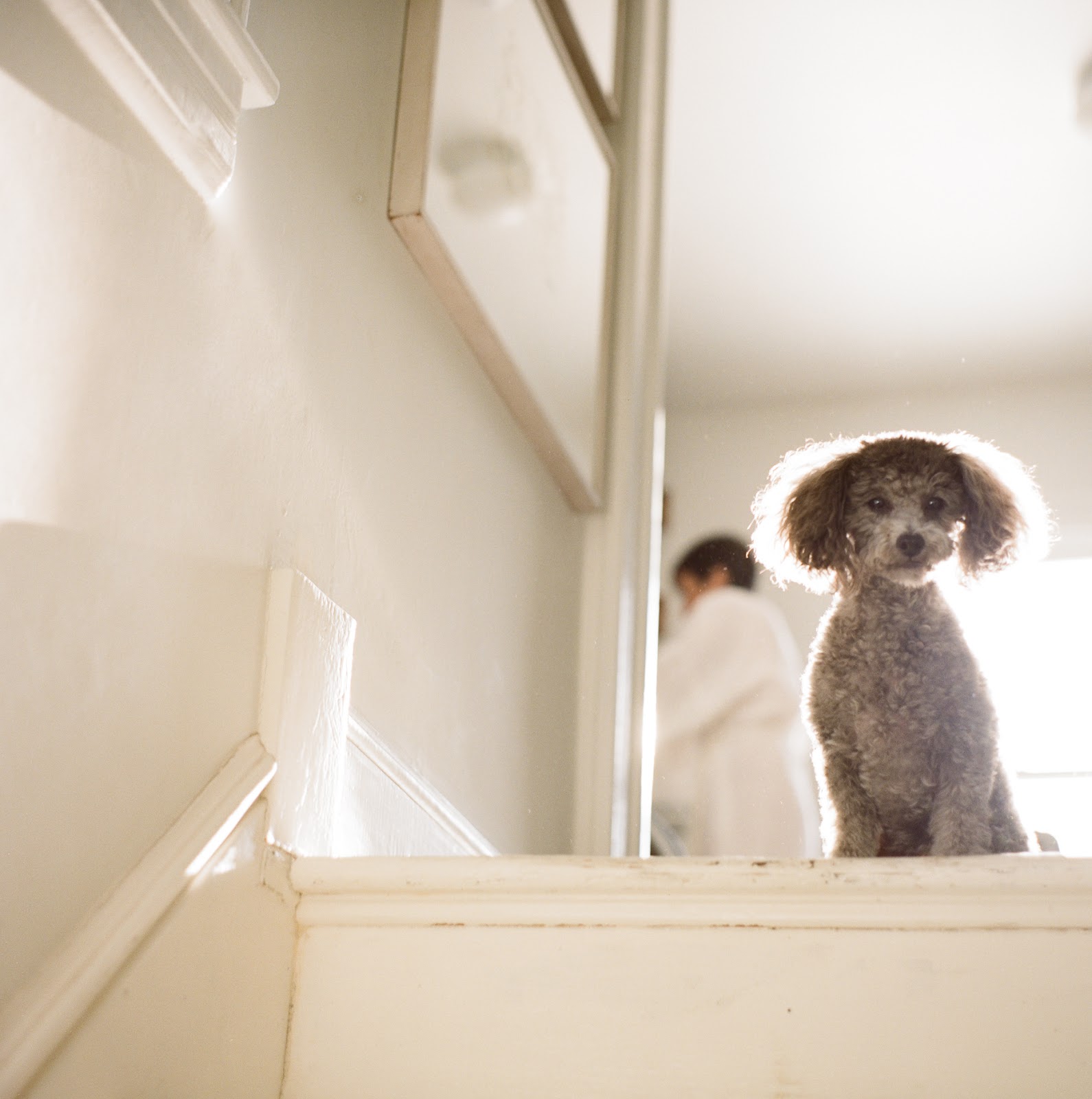 artifact24: lindsey & joseph