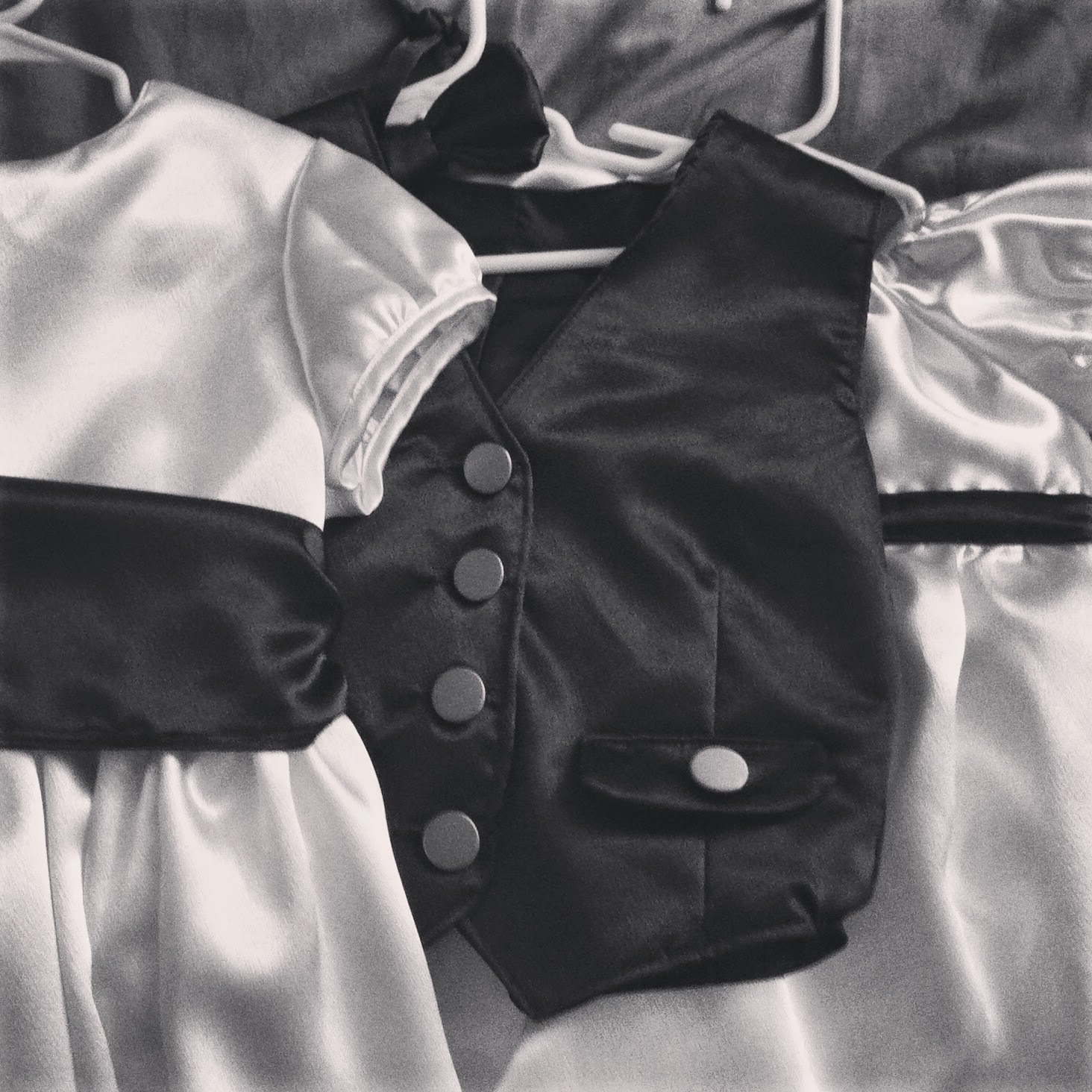 Chadwicks' Picture Place: Sienna's Flower Girl Dress (Simplicity 5695)