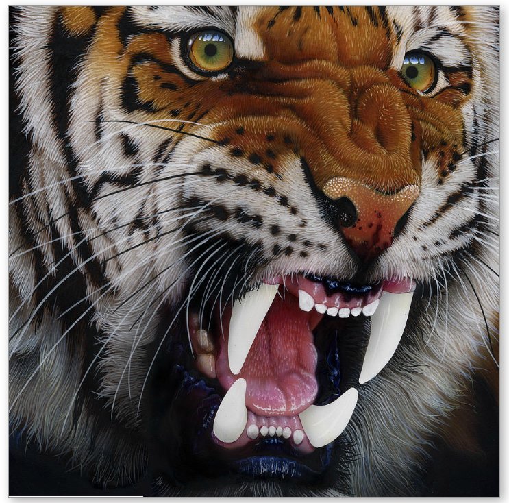 White Wolf : Jurek Zamoyski - Polish Born Wildlife Artist Extraordinaire