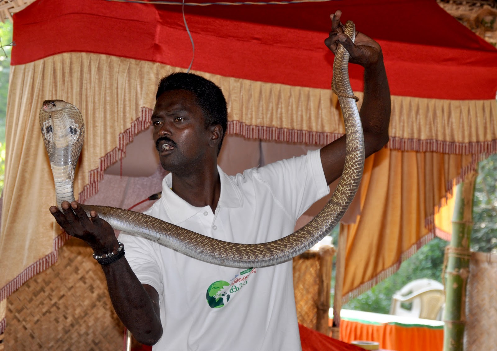 Serpent Research: Vava Suresh of Thiruvananthapuram