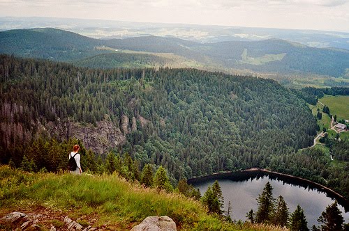 mentinfusion: Forests, mets, kagubatan, forêt,wald, codru ( Part 5 )