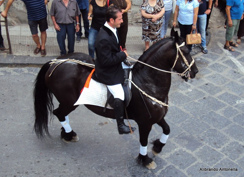 Blog del Mela: Quarta rassegna del cavallo indigeno siciliano e dell ...