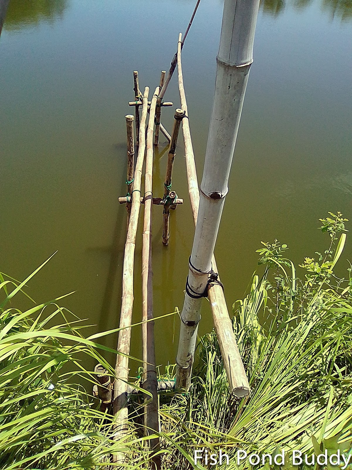 Fish Pond Buddy: How to Make a Milkfish (Bangus) Feeder Device