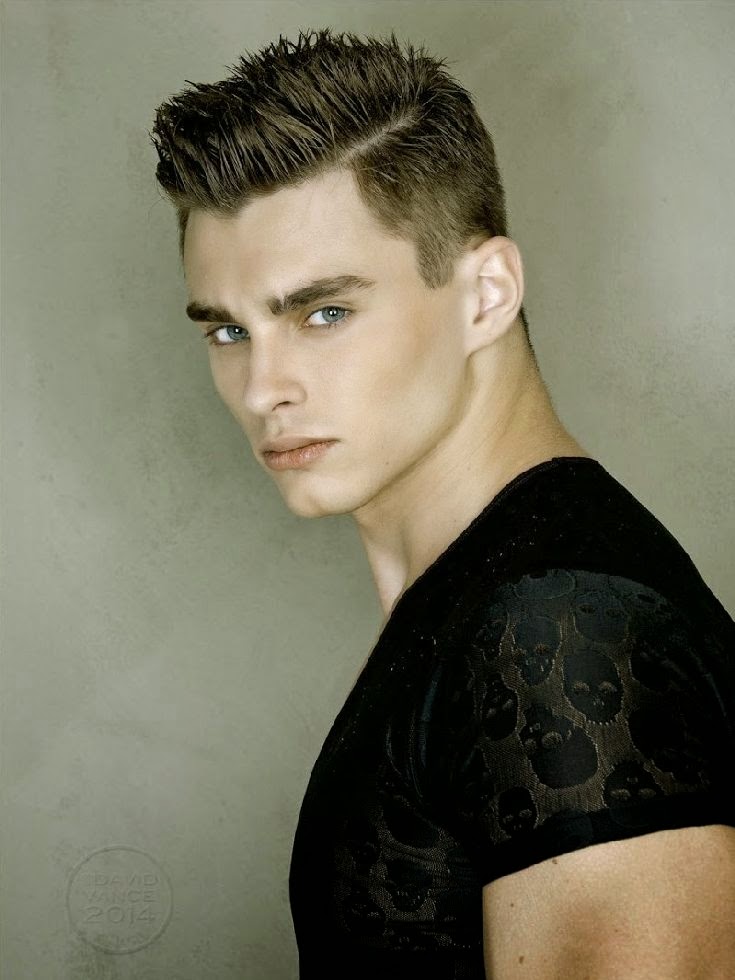 Male Erotica: Roman Shlyakis by David Vance