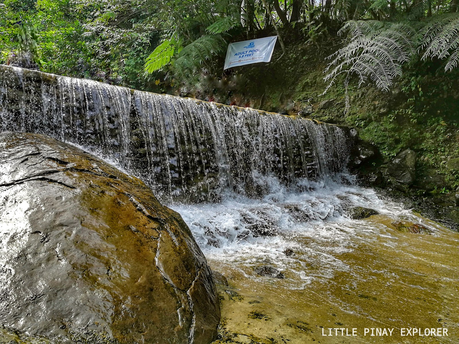 Little Pinay Explorer: Cold Spring for a Warm Weather at Pines Farm ...