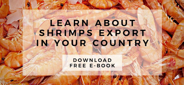 Different Shrimp Classification Common for Eat - Frozen Shrimp ...