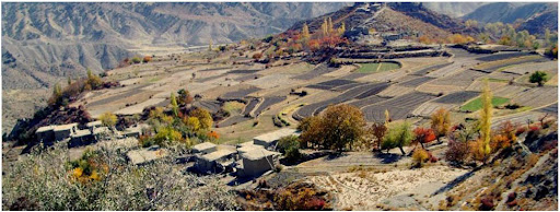 Zadran Tribe: ABOUT ZADRAN