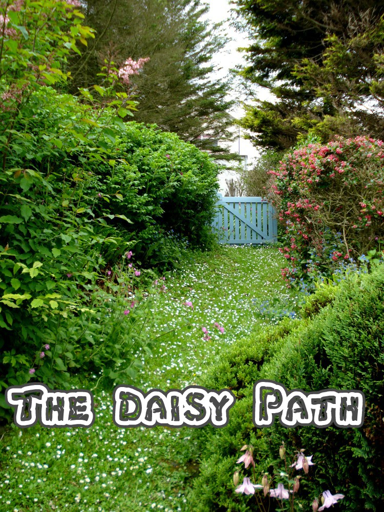The Daisy Path