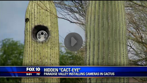 THE WESTERNER: Hidden Cact-Eye: Paradise Valley installs cameras in cactus