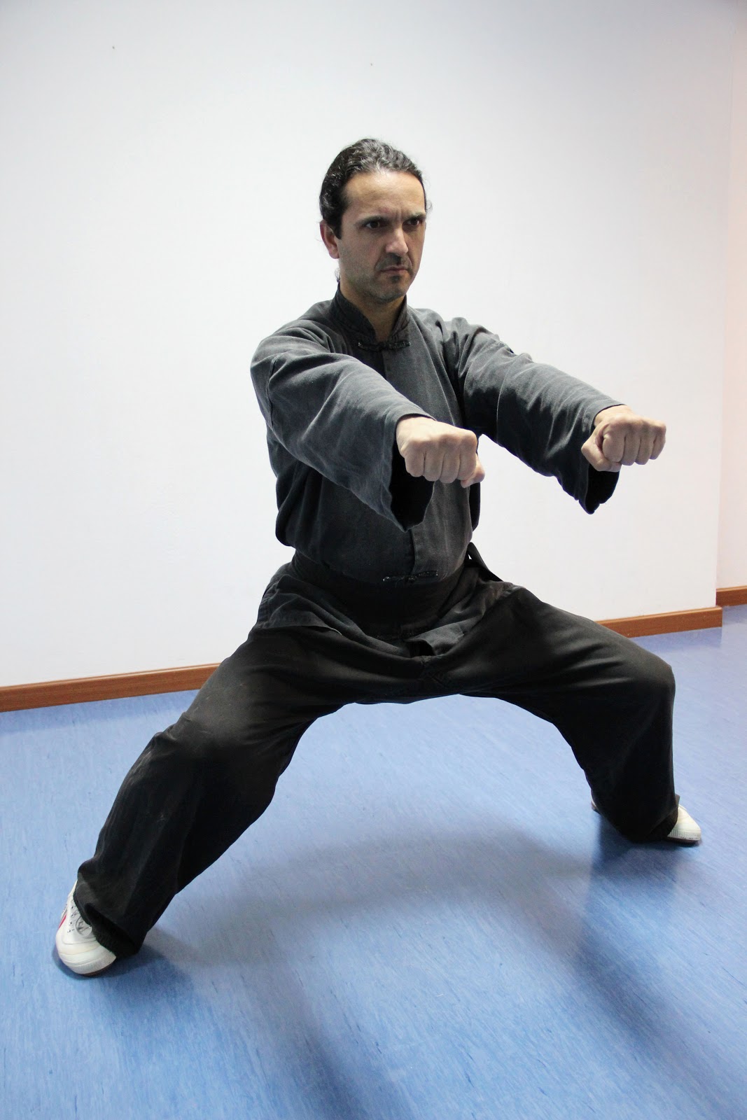 Associação de Artes Marciais Chinesas de Viseu - 维塞乌中国武术协会 : Galeria/Foto