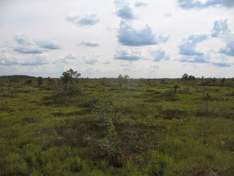 IV c KOOLILUGU: Mukri raba ja Järvakandi klaasimuuseum