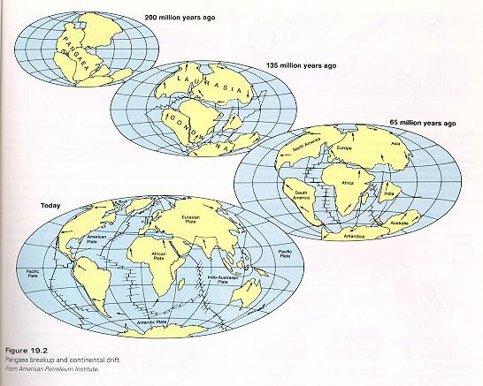 Atlas: The evolutions of the continents