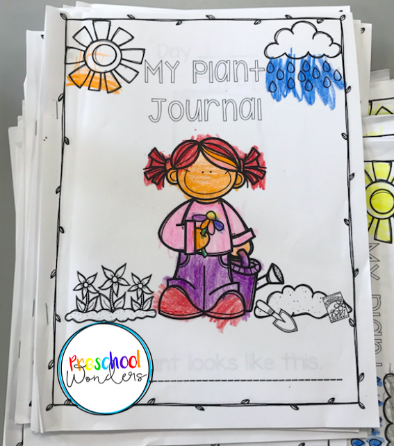 Preschool Wonders: Flower Power: Learning All About Plants!