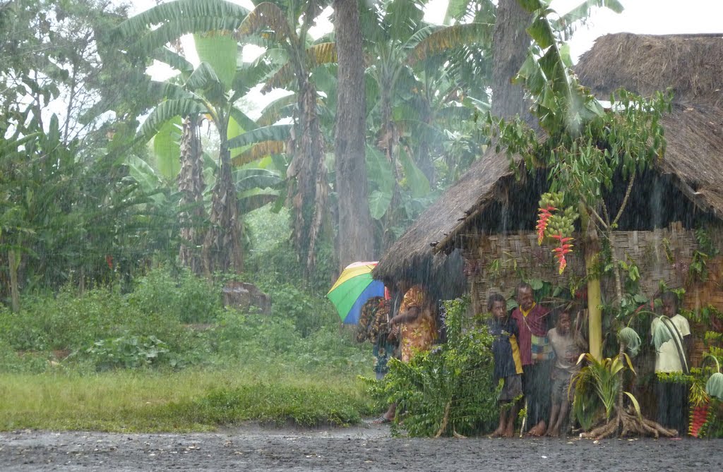 bugs and bananas: 2011 Katagu Games