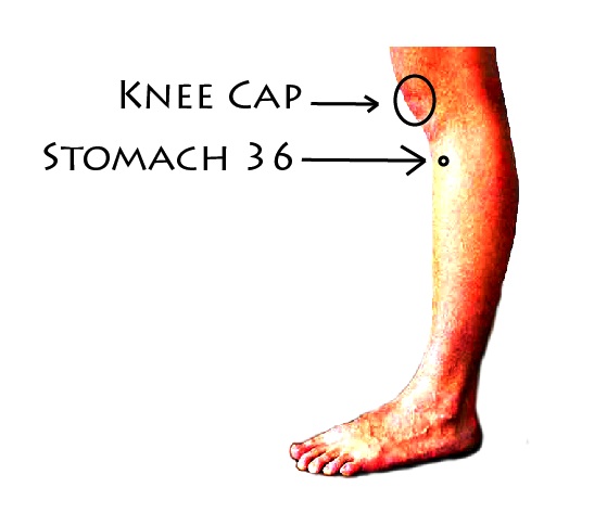 Useful Acupuncture points for acid reflux ~ Allo Gerd