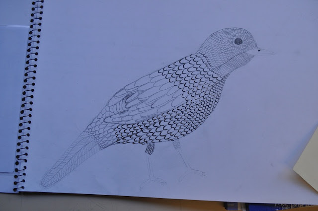 I teach art: Pencil Bird Drawings