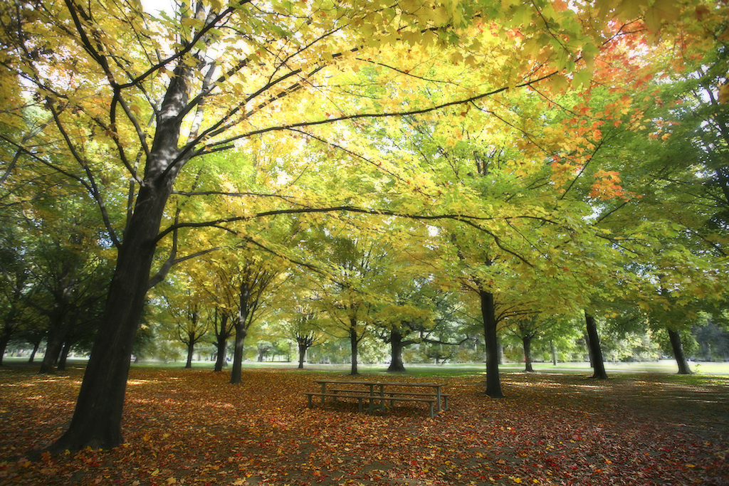 Fotografi alam | Dunia Fotografy