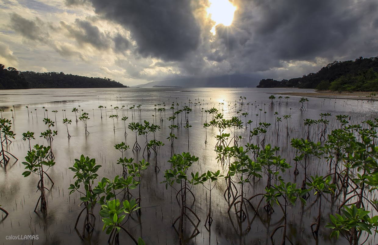 TRAVEL CENTRAL PHILIPPINES: 11 Awesome Shots of the Philippines ...