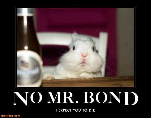 Rabbit Ramblings: Funny Bunny Monday Meme*day