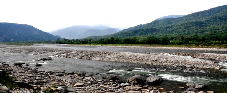 Dooars Ecoviillege: Feel the beauty of sleeping forest at Raidak