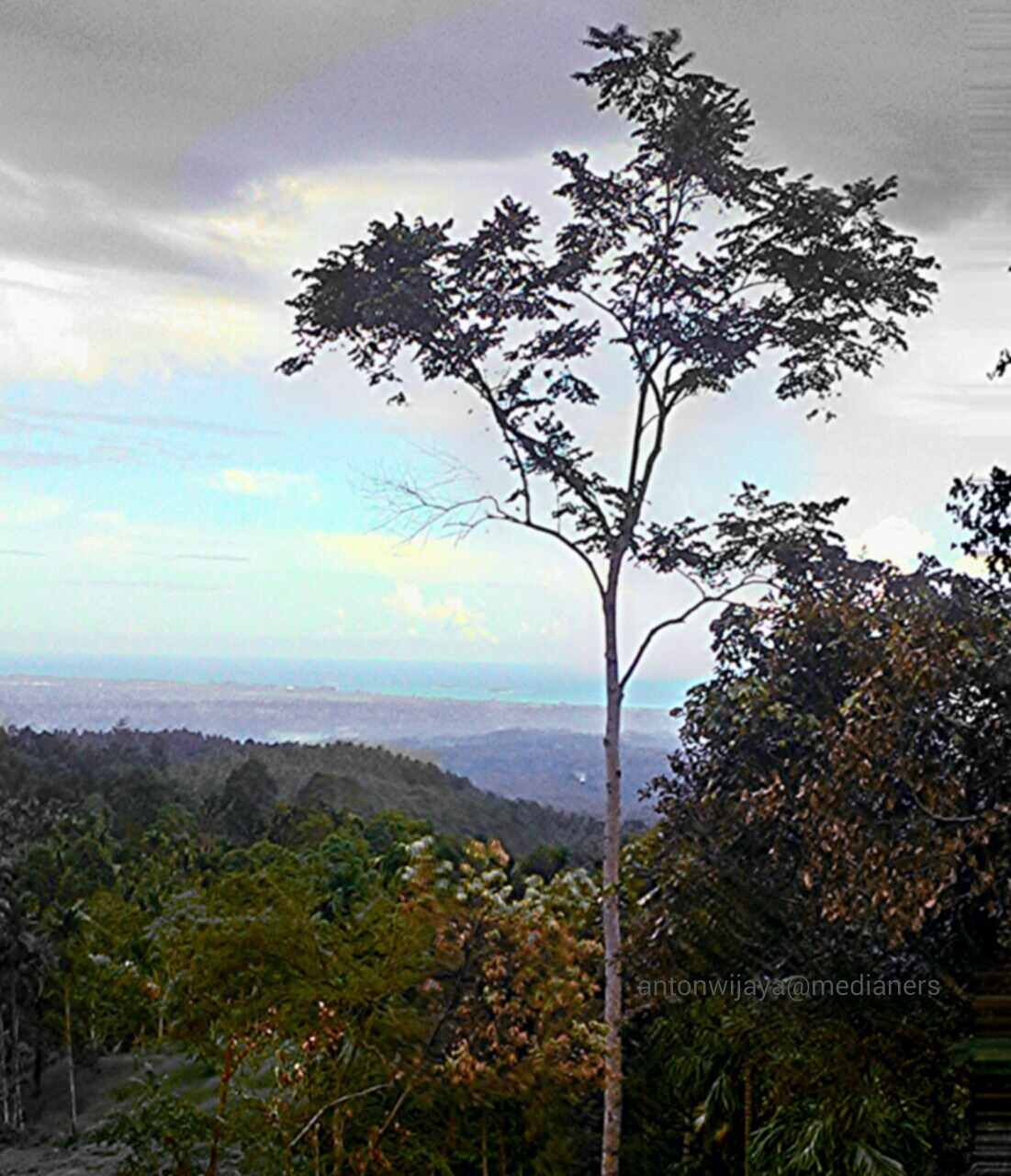 Keindahan dan Tantangan Air Terjun Batu Basurek Ladang Rimbo, Sungai ...