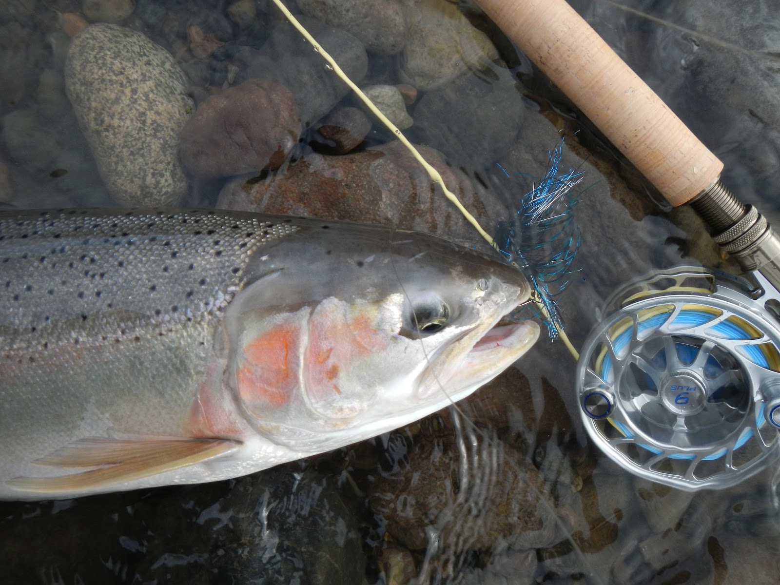 Country Pleasures Fly Fishing: Product Review-Hatch Finatic 9 Plus