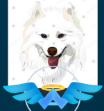 Samoyed Customized Clothing