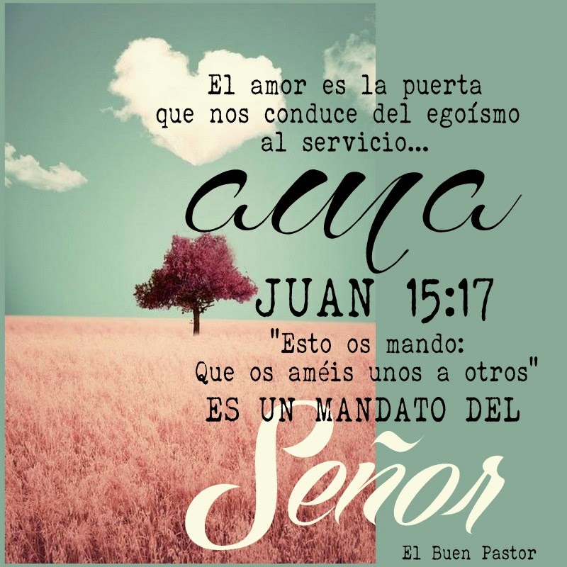YO SOY EL BUEN PASTOR: Juan 15:17