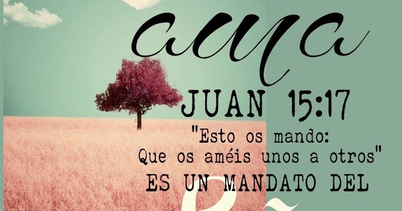 YO SOY EL BUEN PASTOR: Juan 15:17