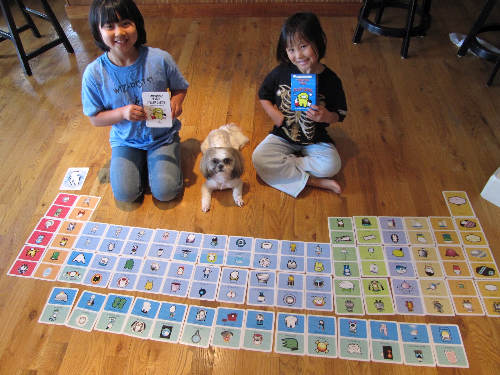 HOMESCHOOL NINJAS: BASHER PERIODIC TABLE FLASHCARDS